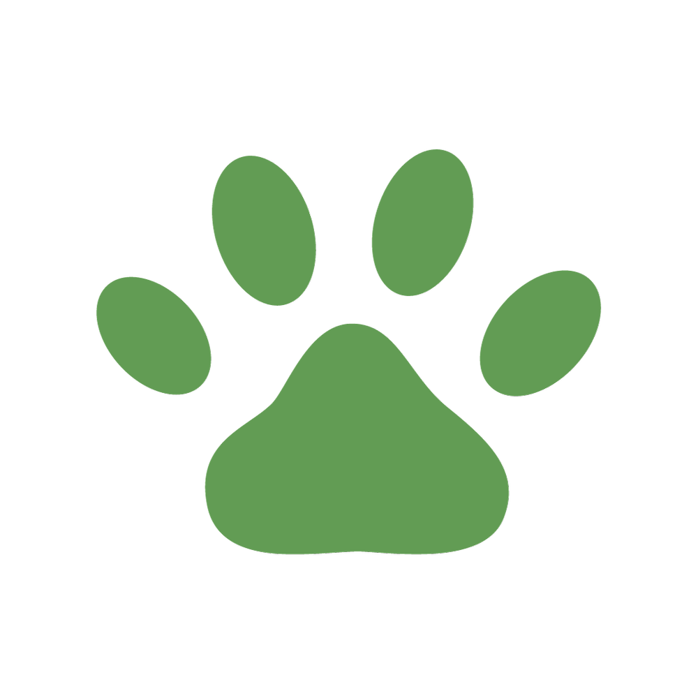 SWAT Pest Management | Pest Control Launceston