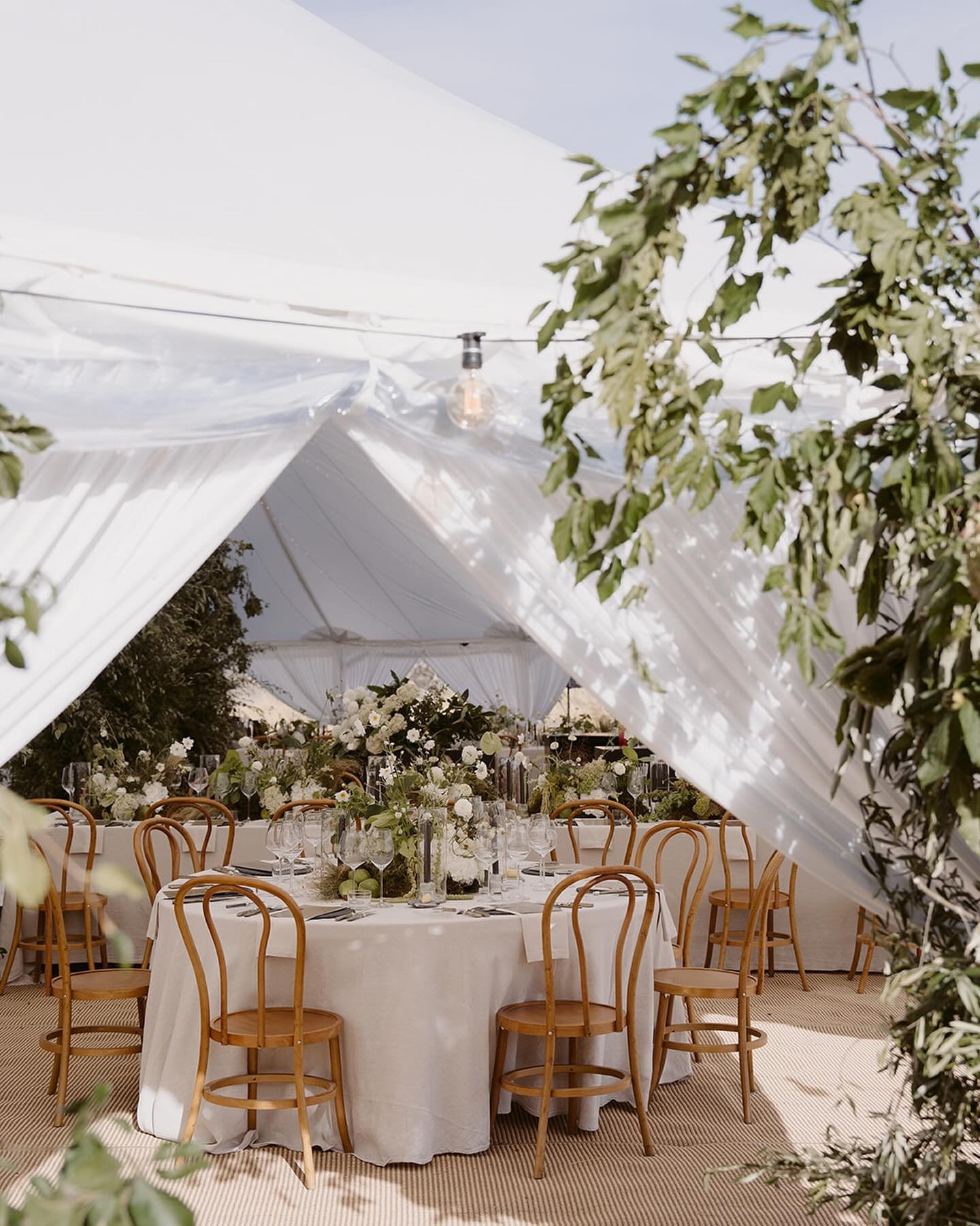 Alexandra Kate Creative Studios.