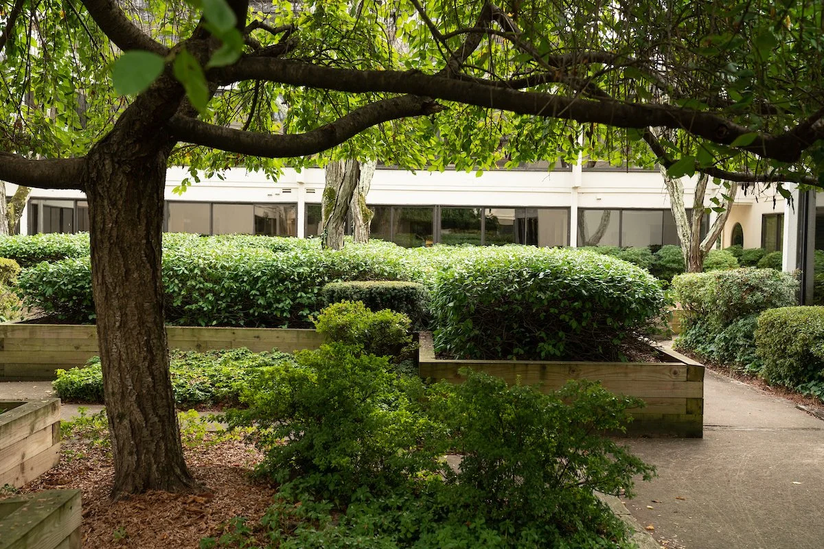 Our Office — Sage House Therapy