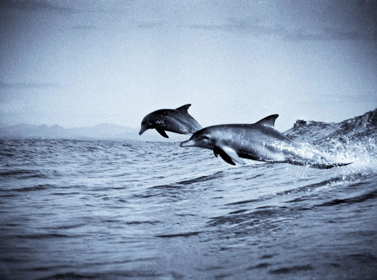 Beautiful photos of Byron | Byron Images