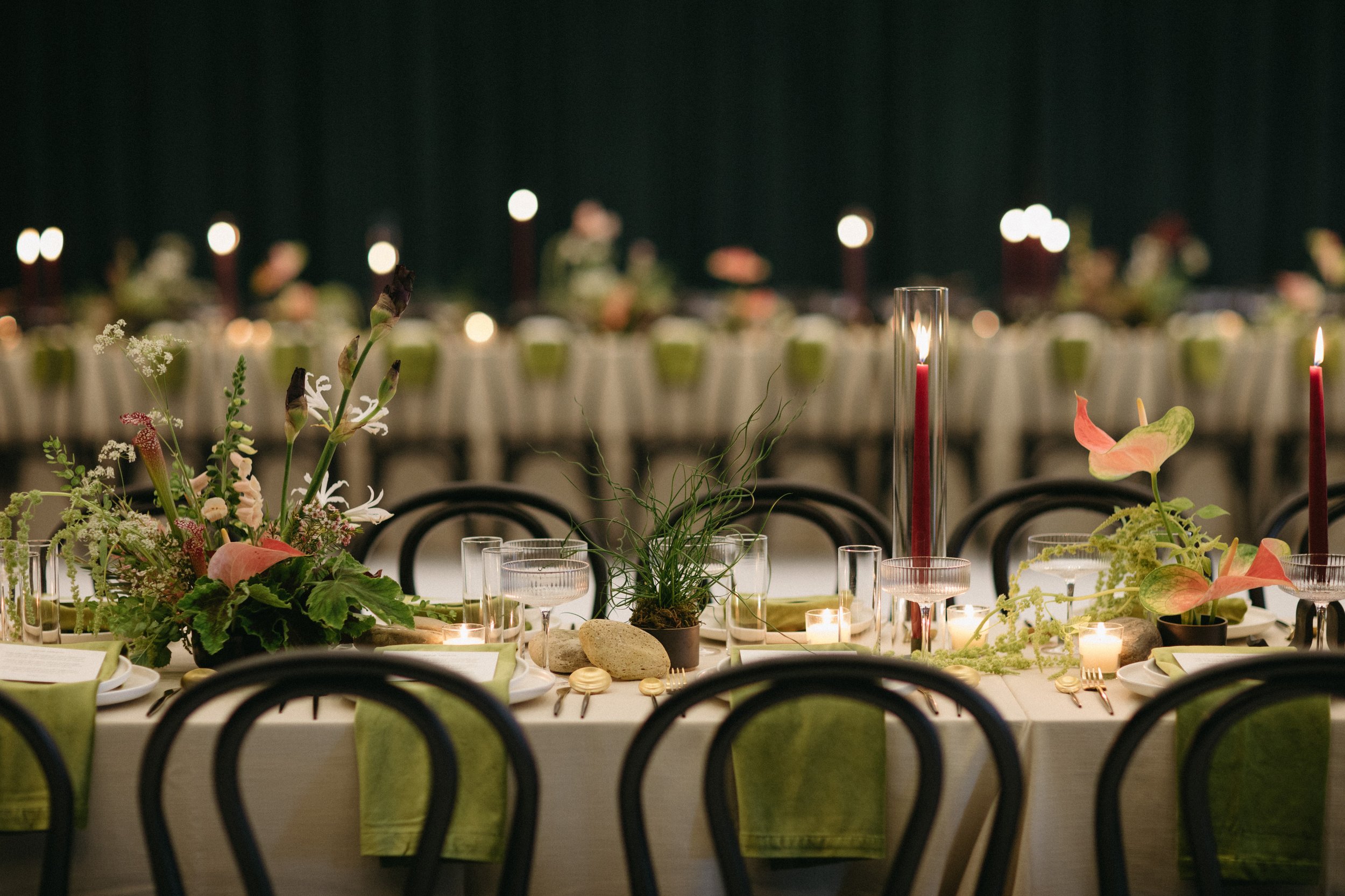 Portfolio — Iris & Fig