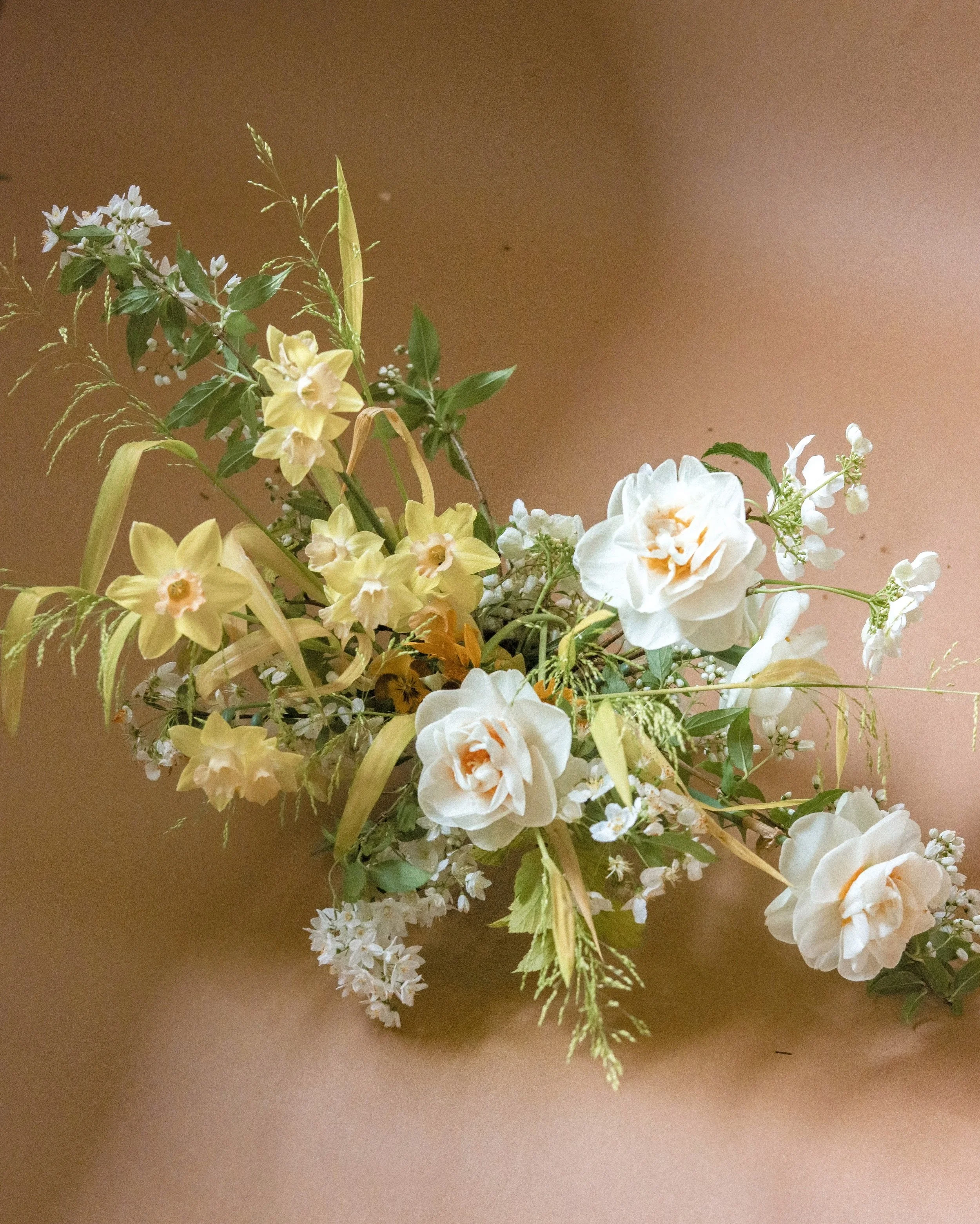 Portfolio — Iris & Fig