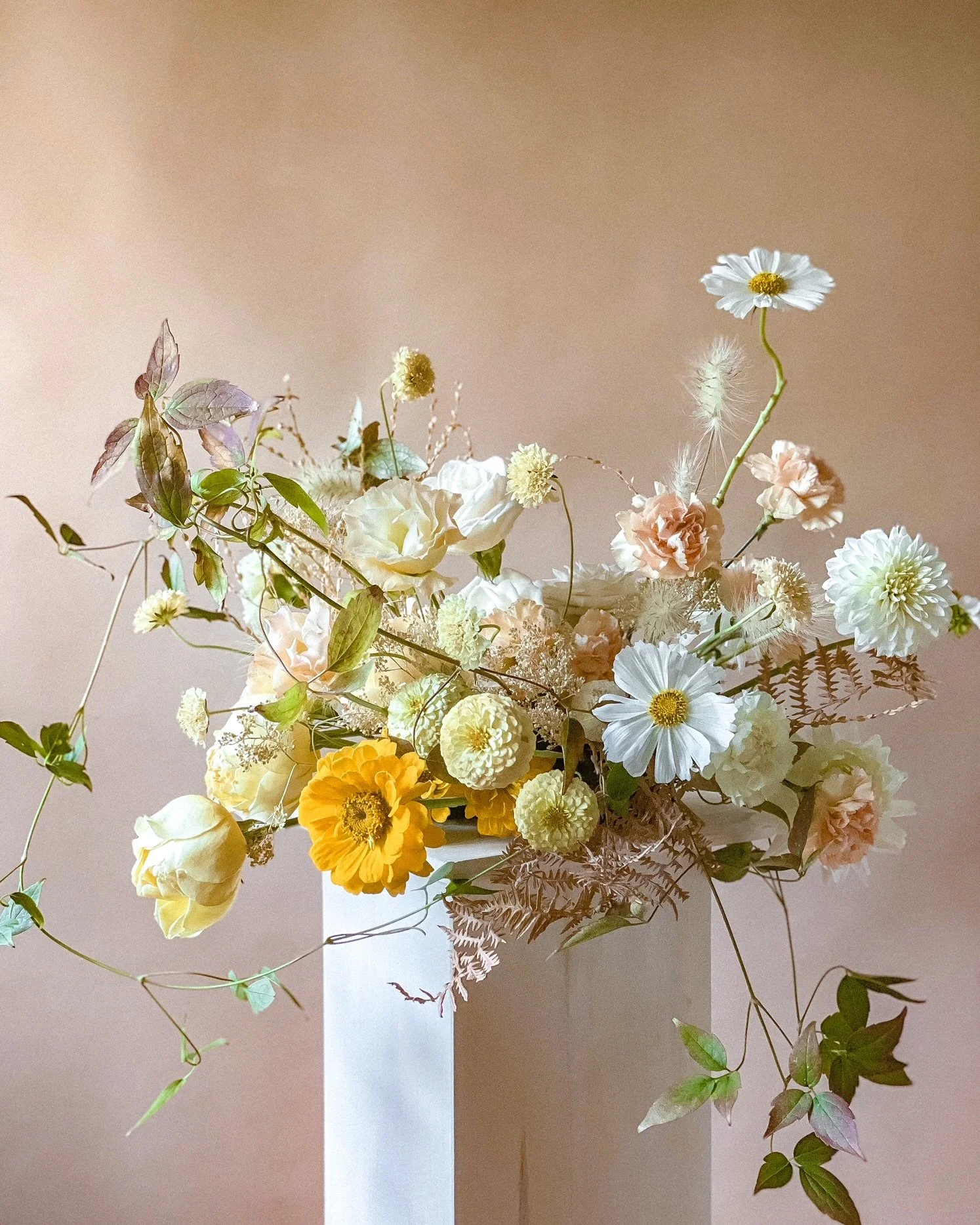 Portfolio — Iris & Fig