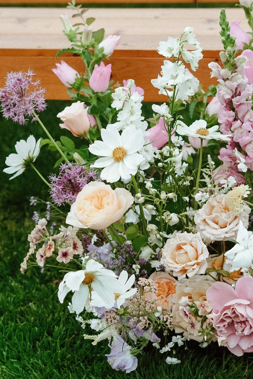 Portfolio — Iris & Fig