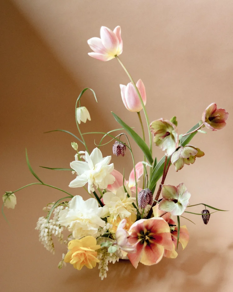 Portfolio — Iris & Fig