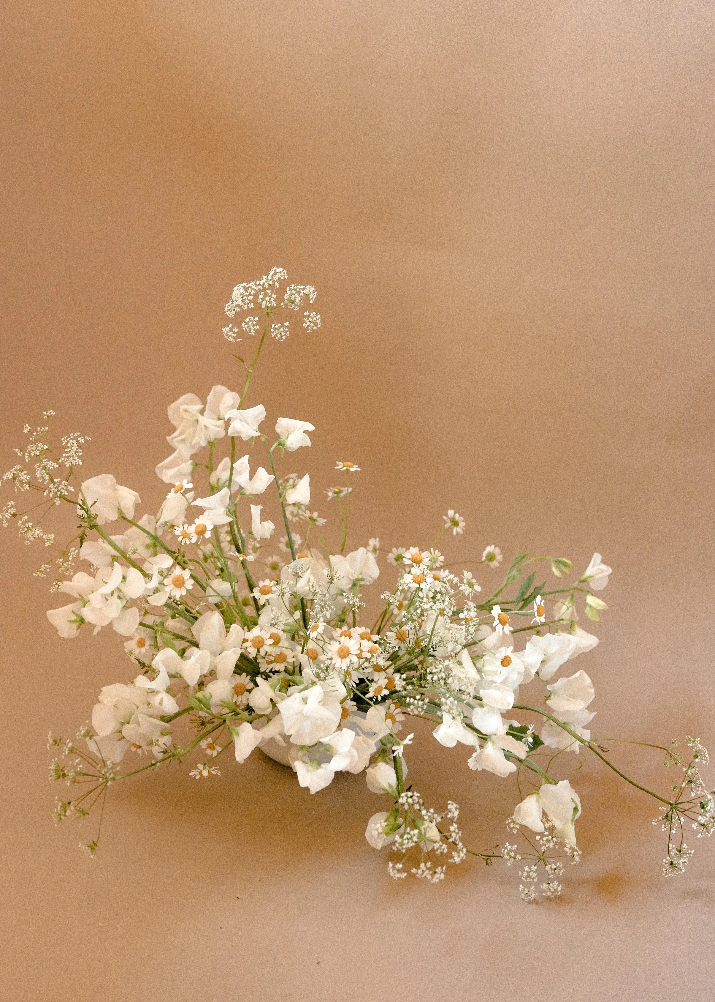 Portfolio — Iris & Fig