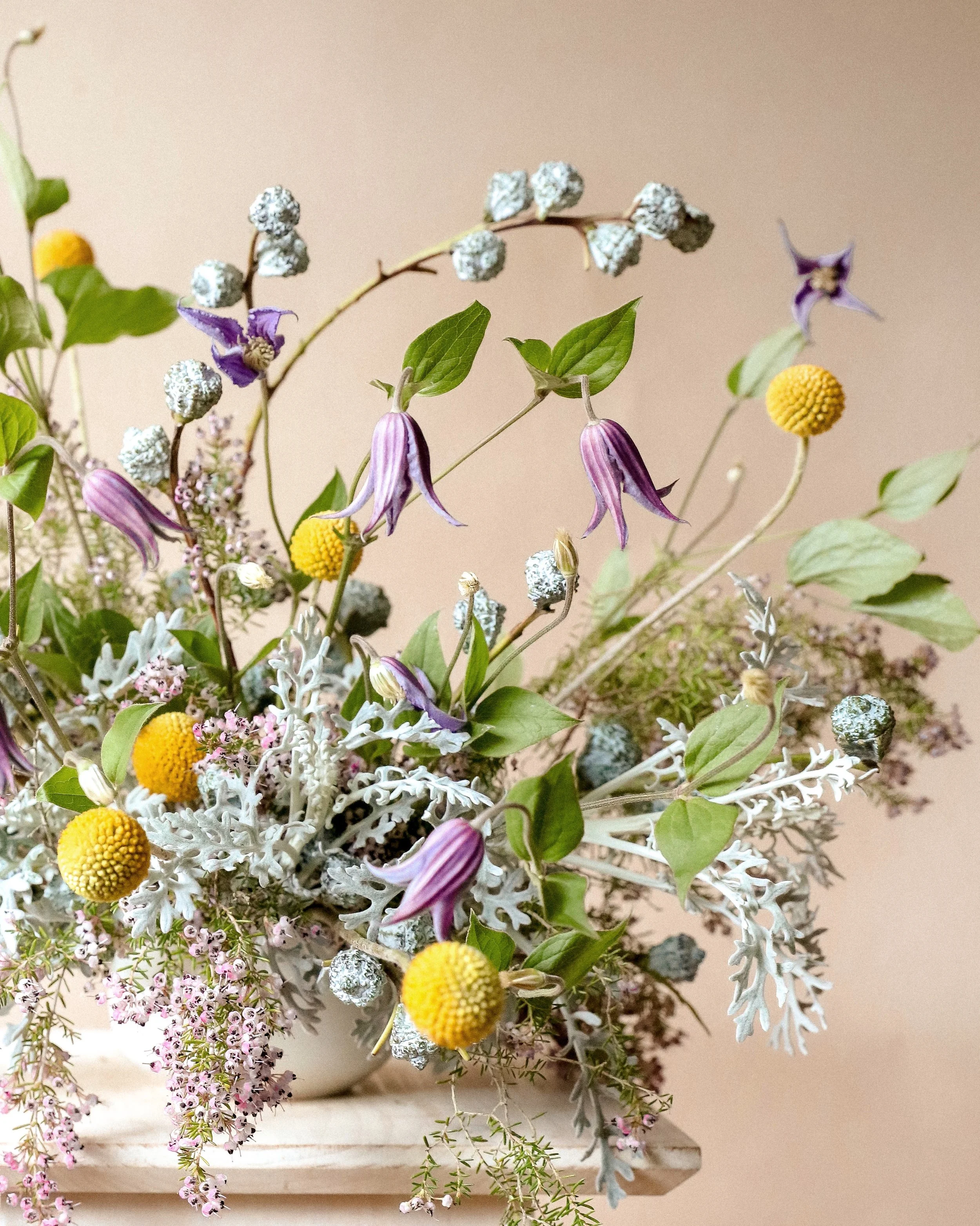 Portfolio — Iris & Fig