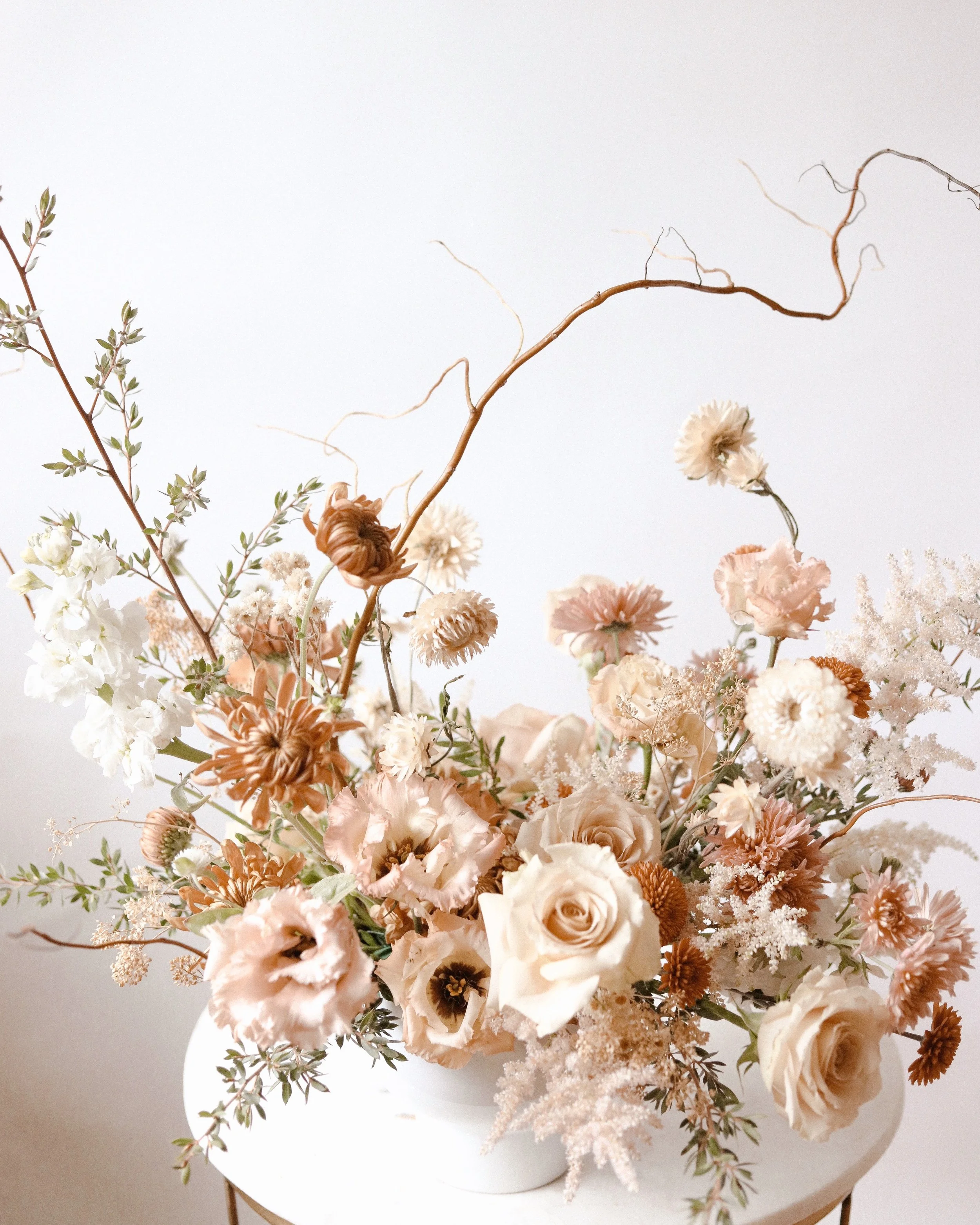 Portfolio — Iris & Fig