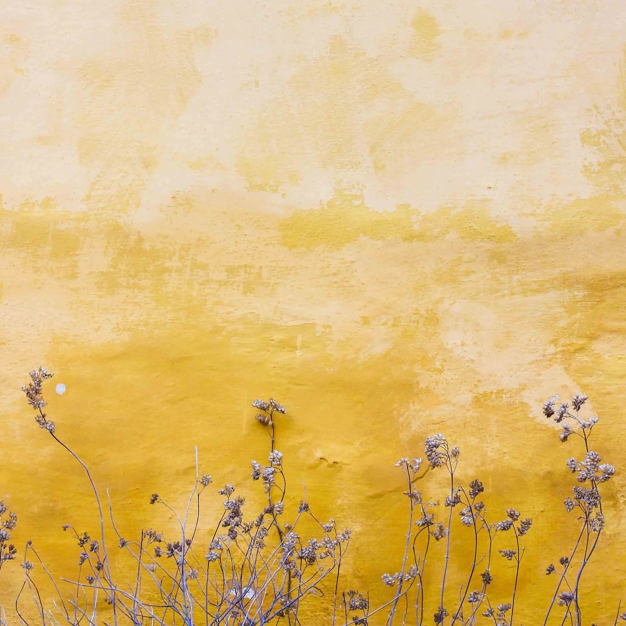 OFFERINGS | Yoga & Meditation — Khorshīd