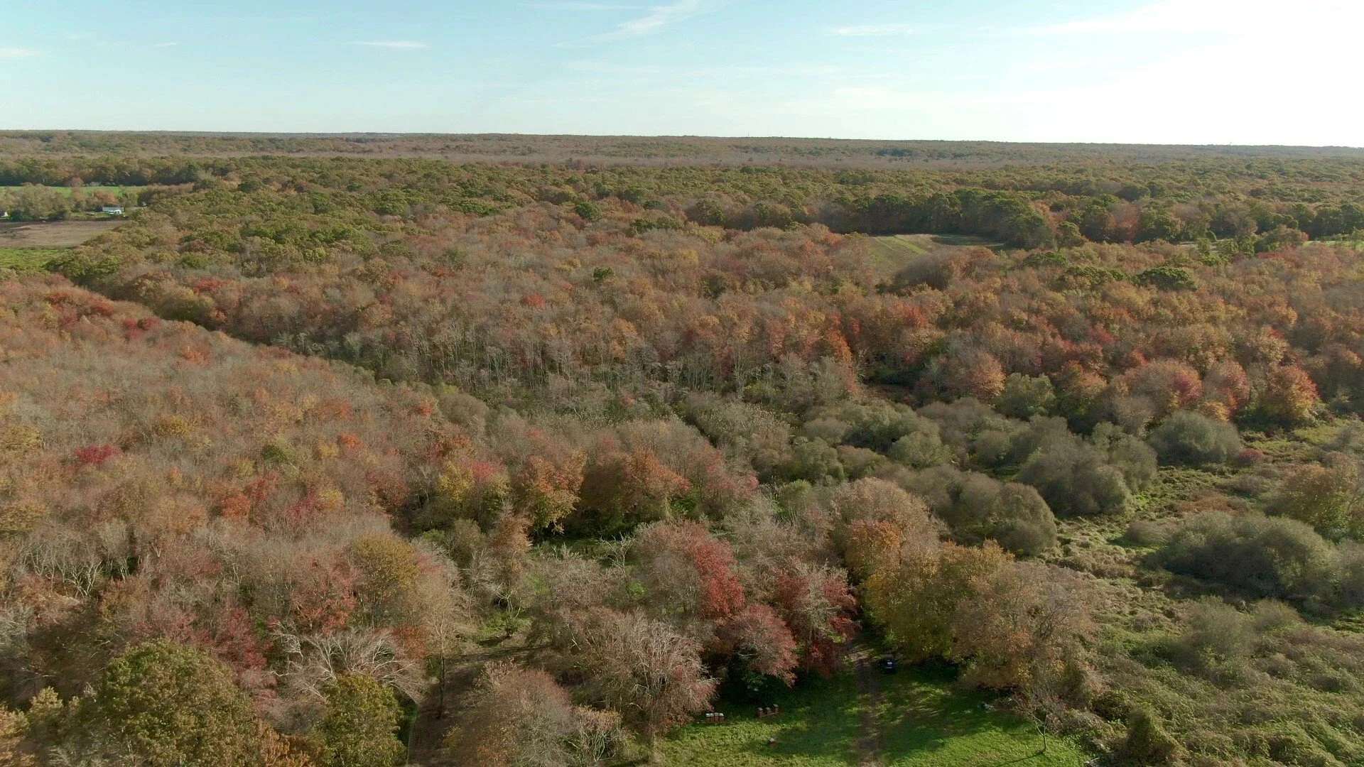 48-Acres of Woodland Conserved at Cook Farm — Tiverton Land Trust