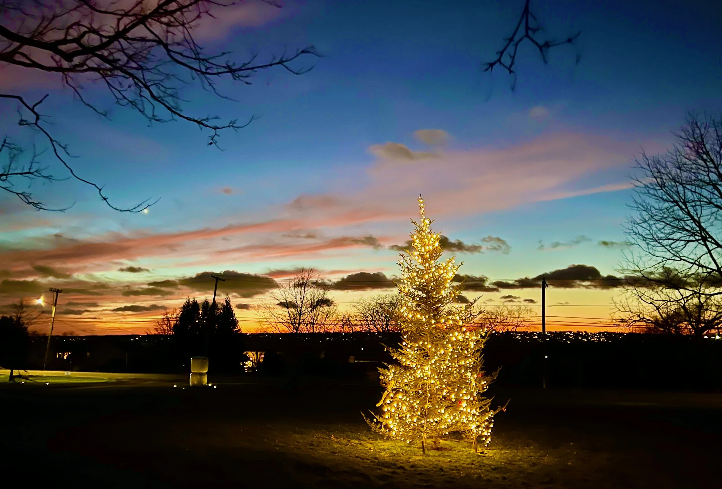Who Knew A Winter Solstice Tree Lighting Could Be So Much Fun ...