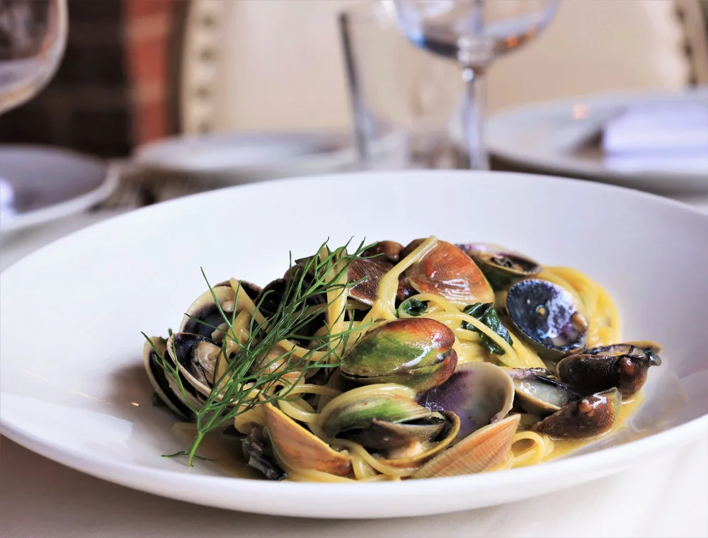 Gallery 2 — Don Cheech