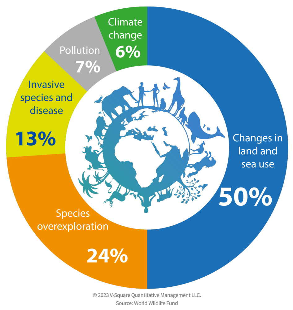 Natural Capital – Biodiversity, a material risk for investors — RAO Global