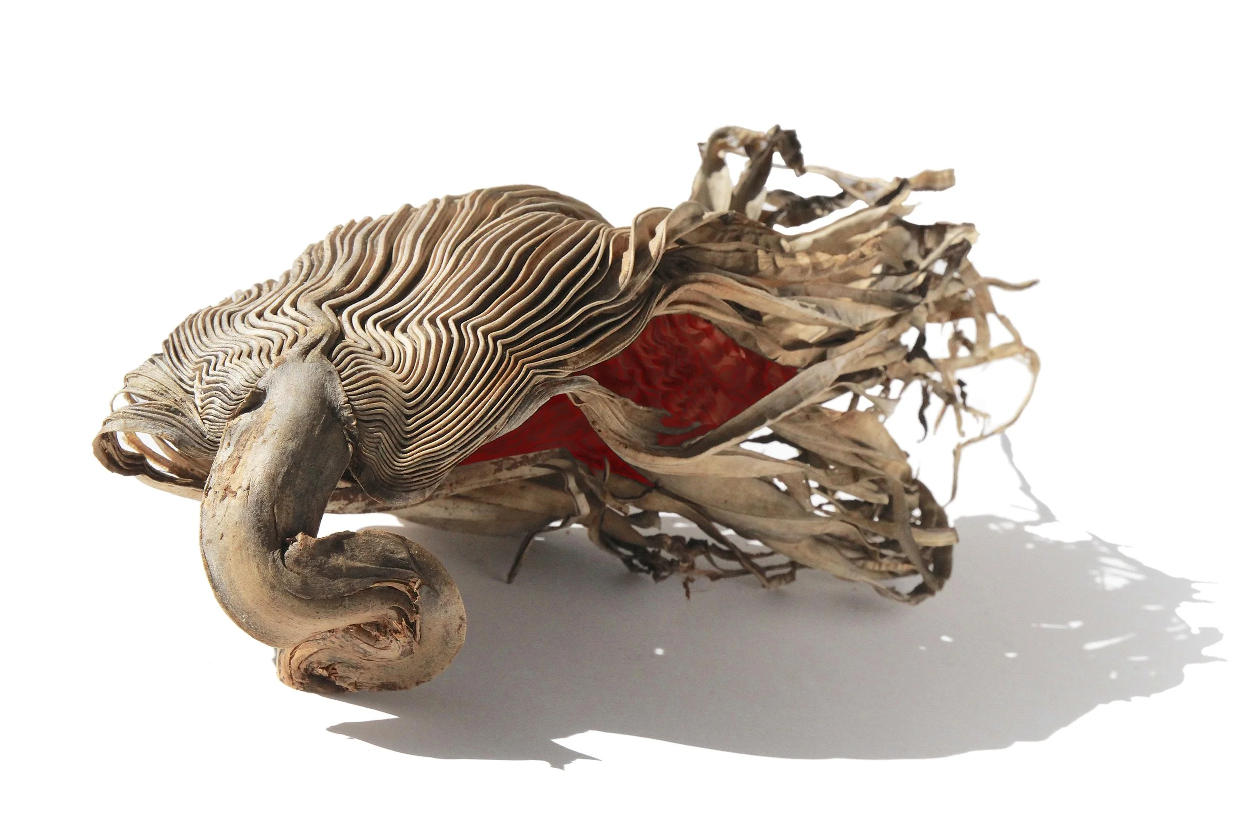 Shmini שמיני — The Amen Institute