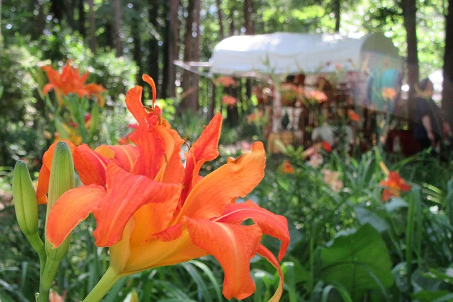 Summer 2024: Hocking Hills, Ohio - Your Ultimate Event Guide — The ...