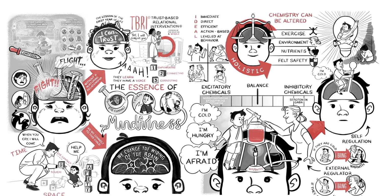 What is TBRI? — THE PEARL PROJECT