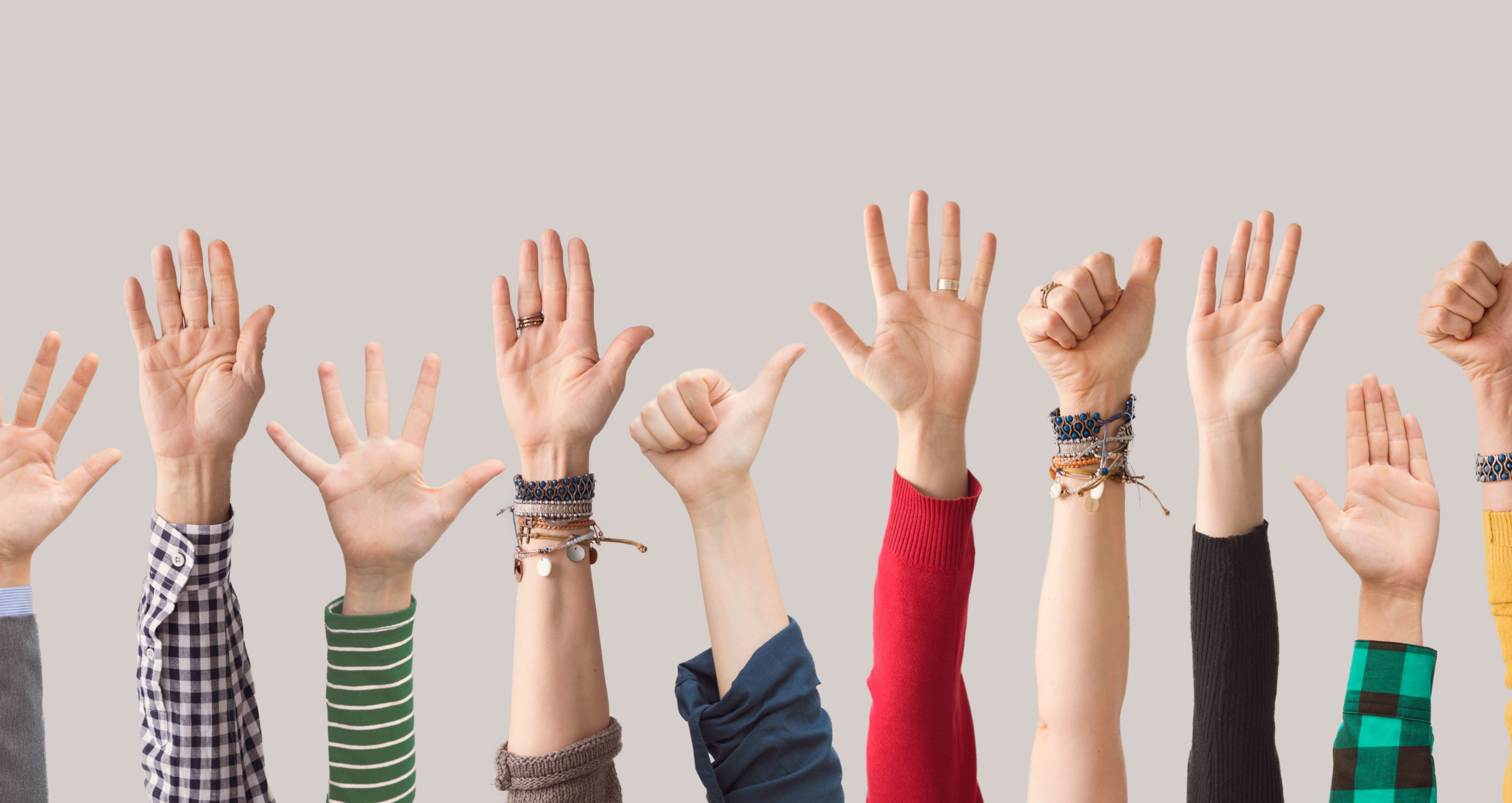 VOLUNTEER — THE PEARL PROJECT