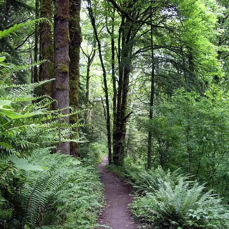 The Best Parks in Portland, Oregon