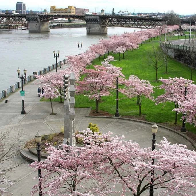 The Best Parks in Portland, Oregon