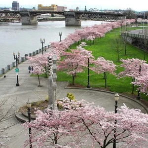 The Best Parks in Portland, Oregon
