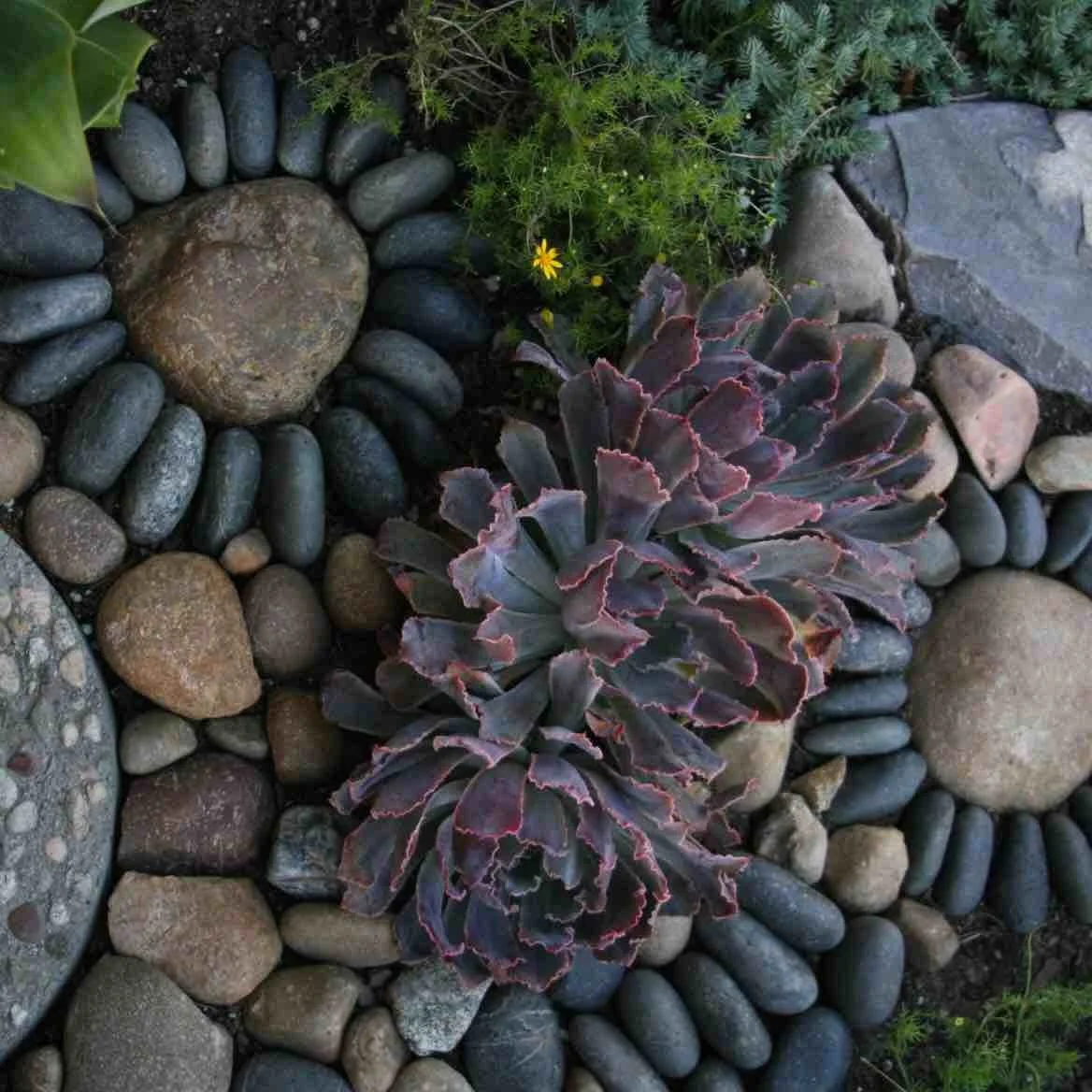 Front Yard Landscaping Ideas with Rocks
