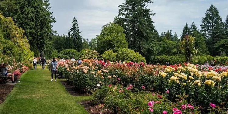 The Best Parks in Portland, Oregon