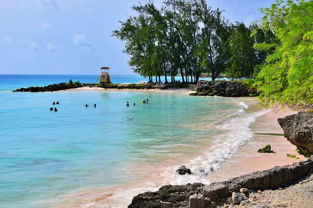 Our Story — Eleven Island Enterprises, LLC