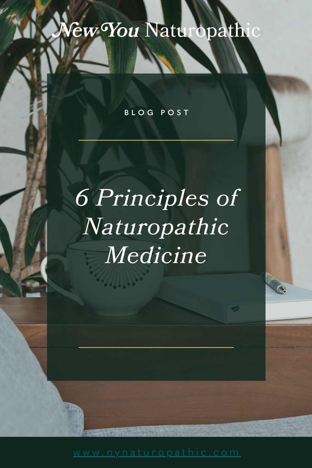 6 Principles of Naturopathic Medicine — Dr. Alyssa DeSena, ND