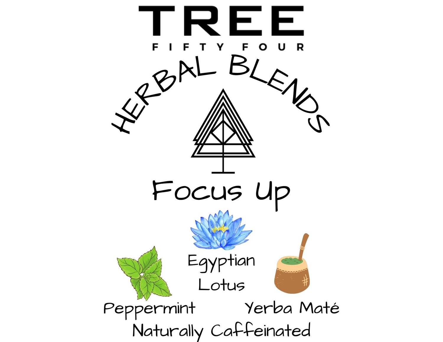 Focus Up Bulk — Tree Fifty Four