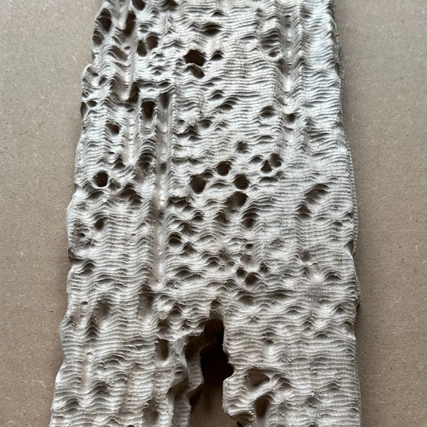 Termite Step Stool — Sarah Alix Mann