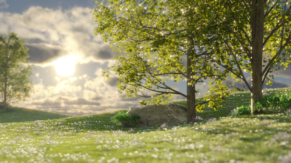 DCD | David Cherrie Design