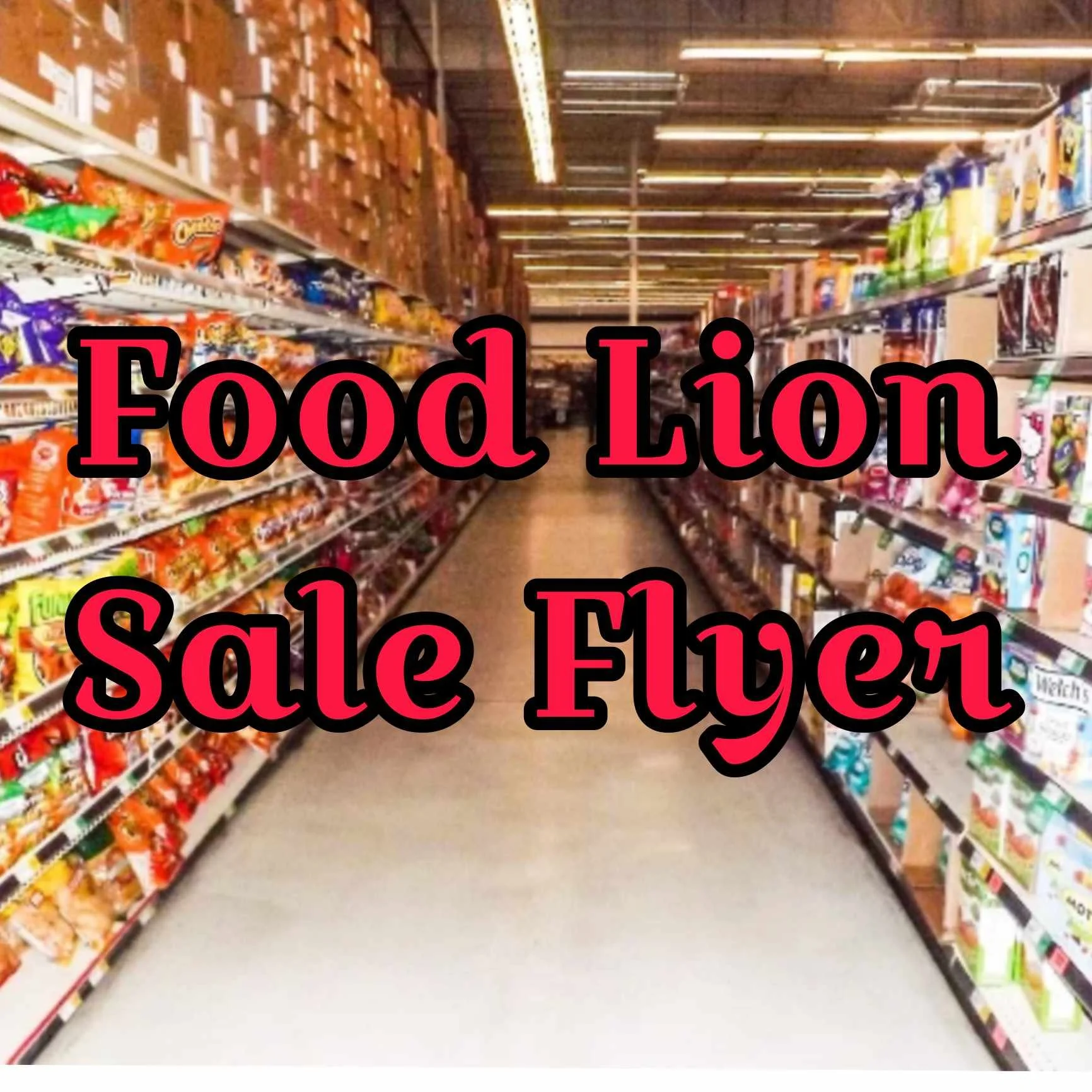 Food Lion Flyer