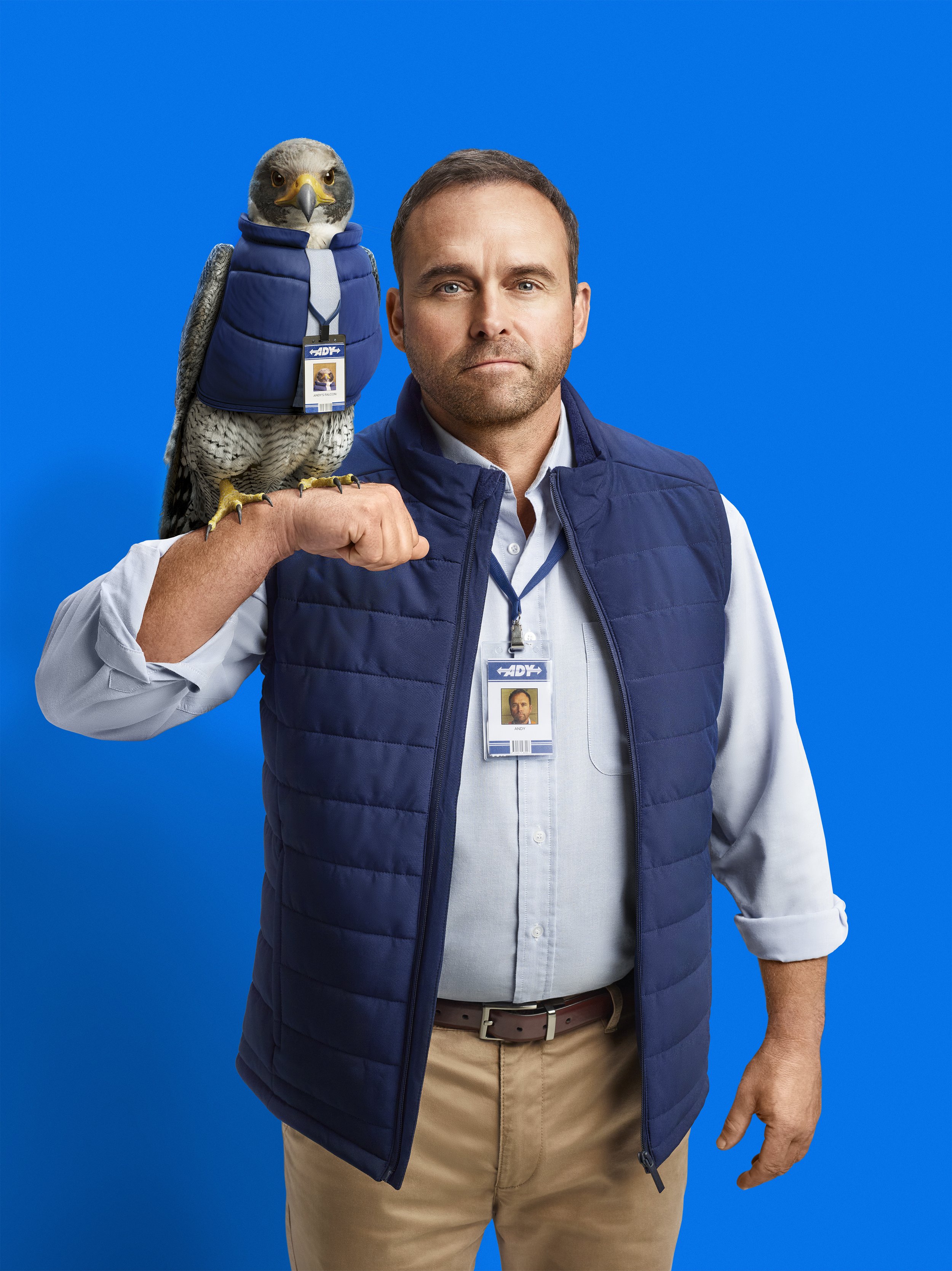 ANZ, Falcon Fraud Protection — Electric Art - Creative Image Production