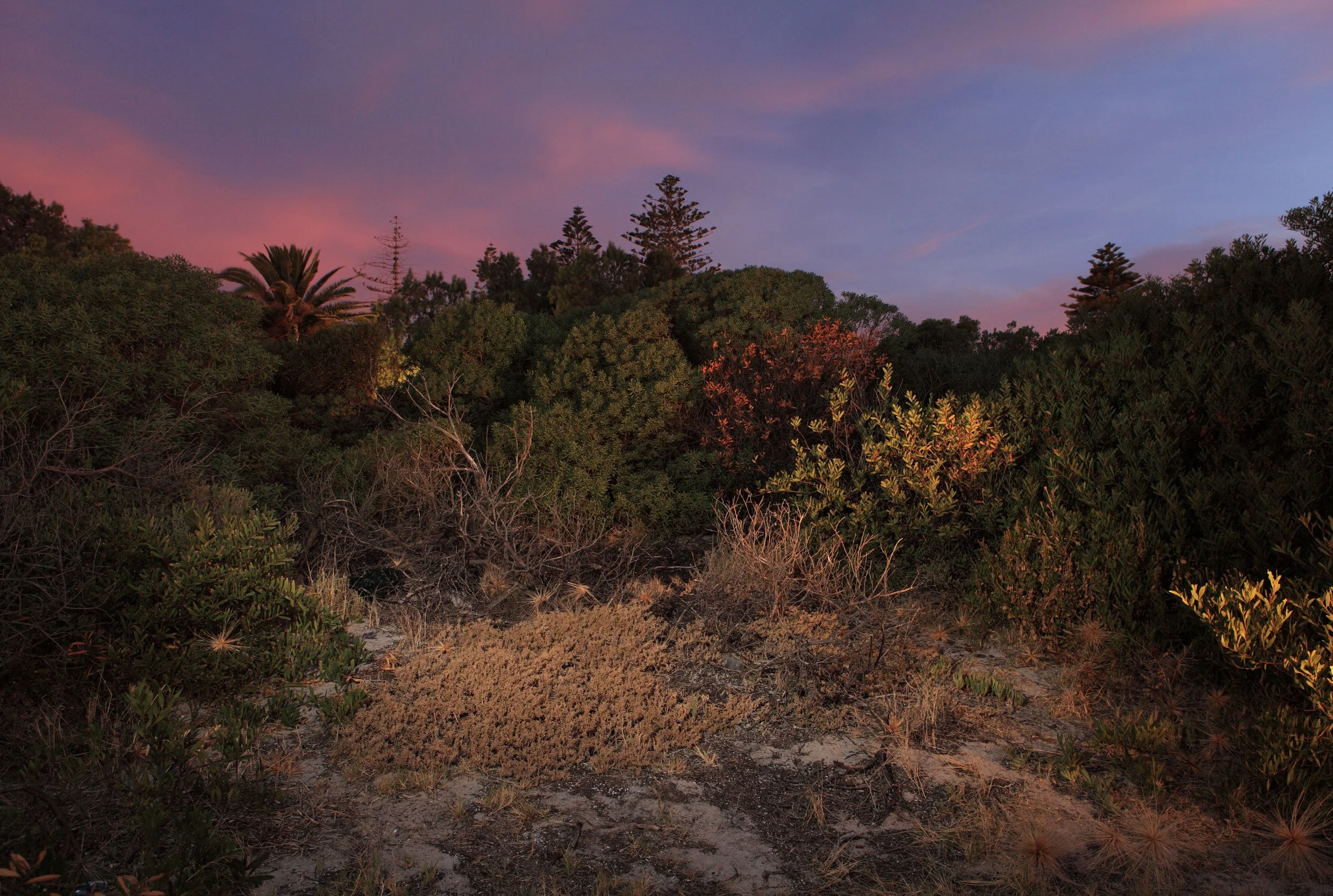 Jenn Brazier — Neoteric