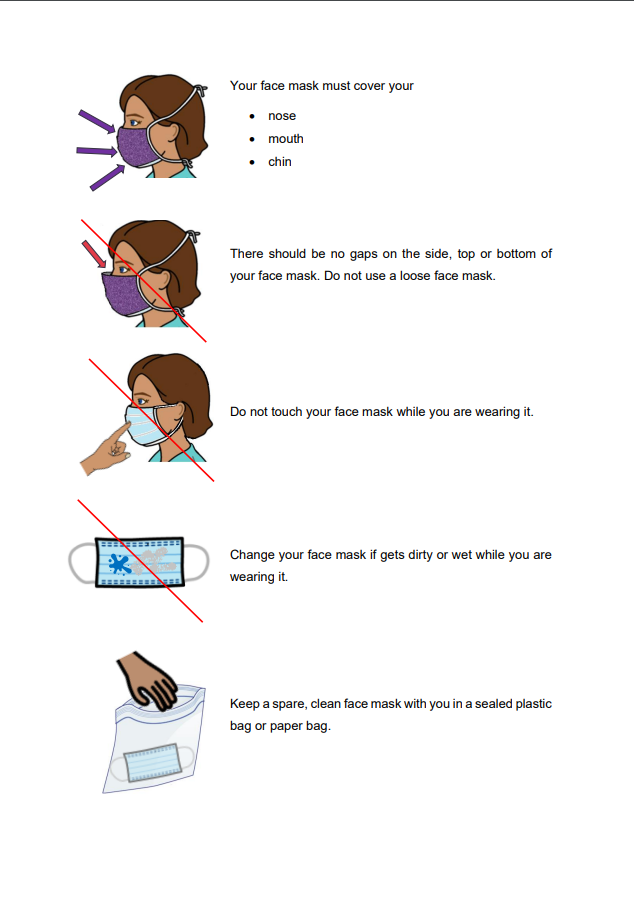 How to wear a face mask — Enliven