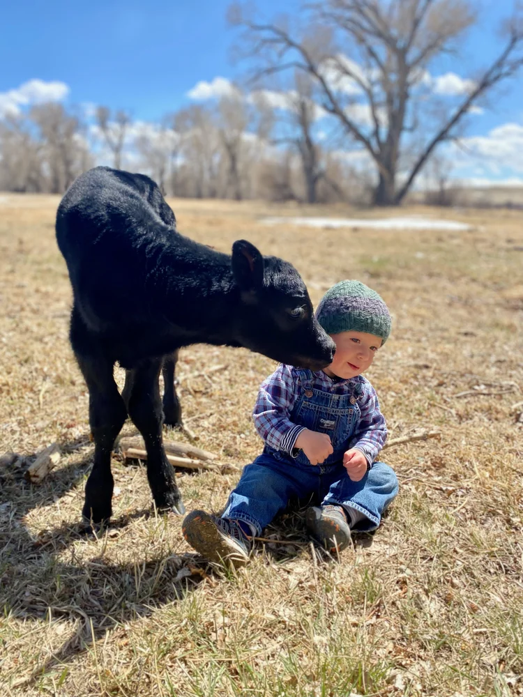 About — J Bar L Ranch