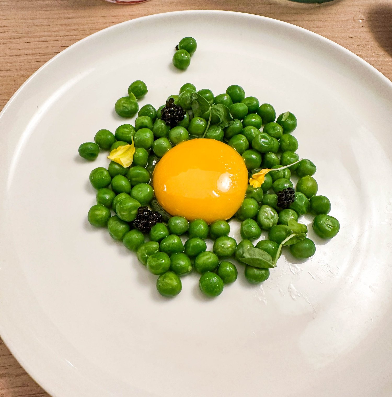 Virgin Voyages Test Kitchen Menu, Review & Food Photos — Freestyle ...