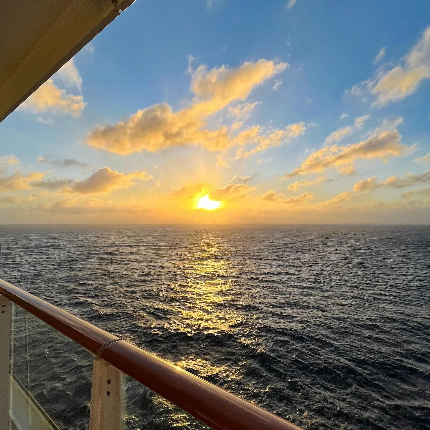 Everything You Need to Know Before Upgrading to the NCL Premium Plus ...