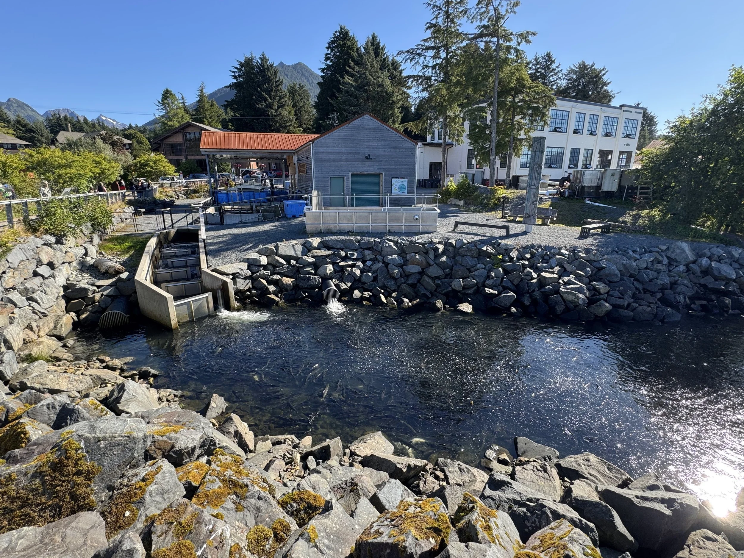 Sitka, Alaska Cruise Port Guide & Information - Maps, Transportation ...