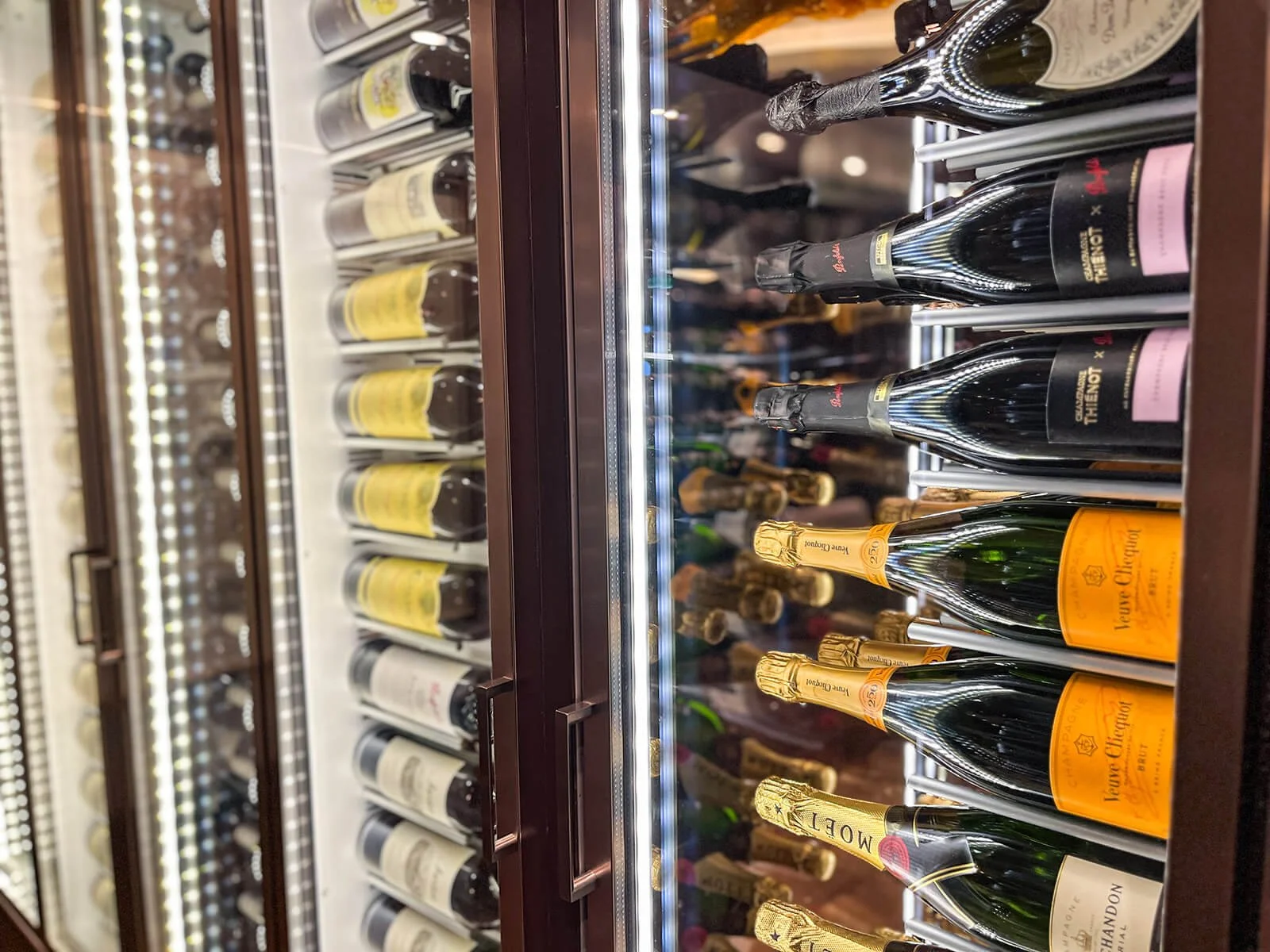 Everything You Need to Know Before Upgrading to the NCL Premium Plus ...