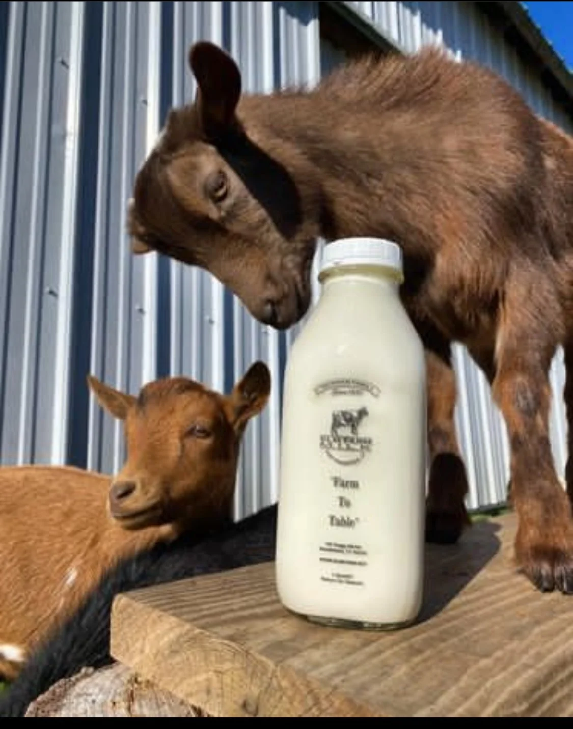 Farm to Table Market at Elm Farm | Naturally Raised Beef & Pork | Farm ...