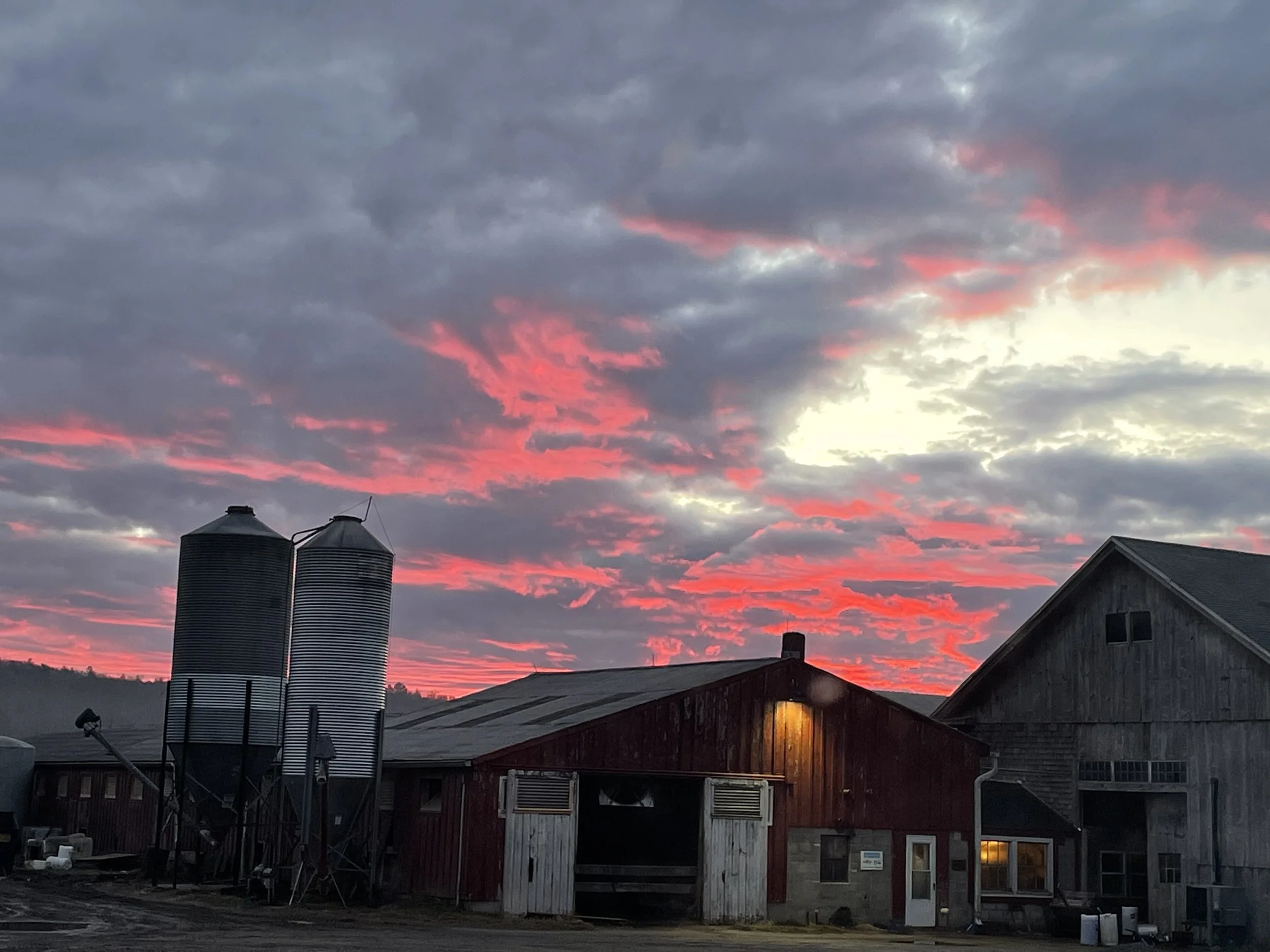 Farm to Table Market at Elm Farm | Naturally Raised Beef & Pork | Farm ...