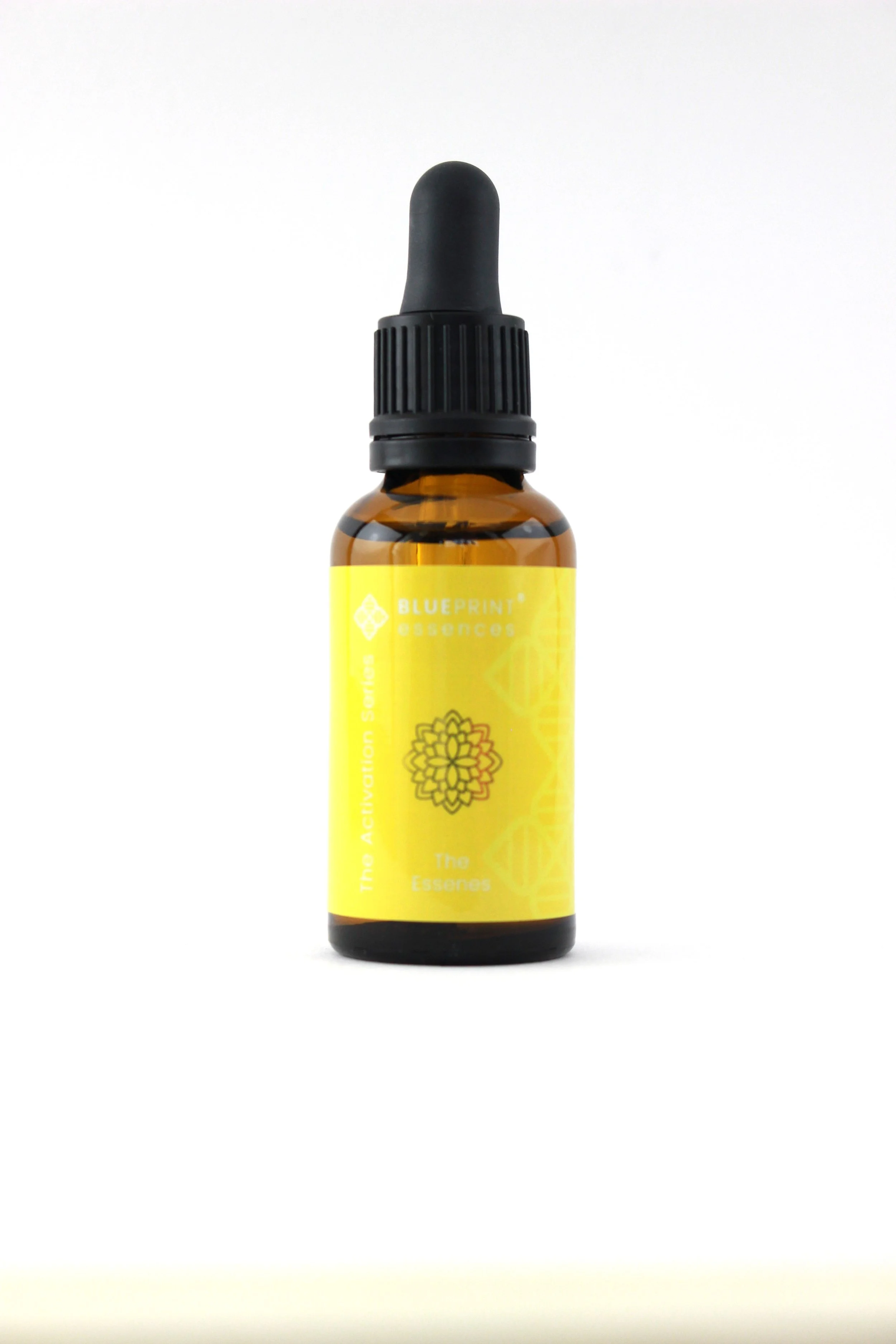 The Essenes — Blueprint Essences