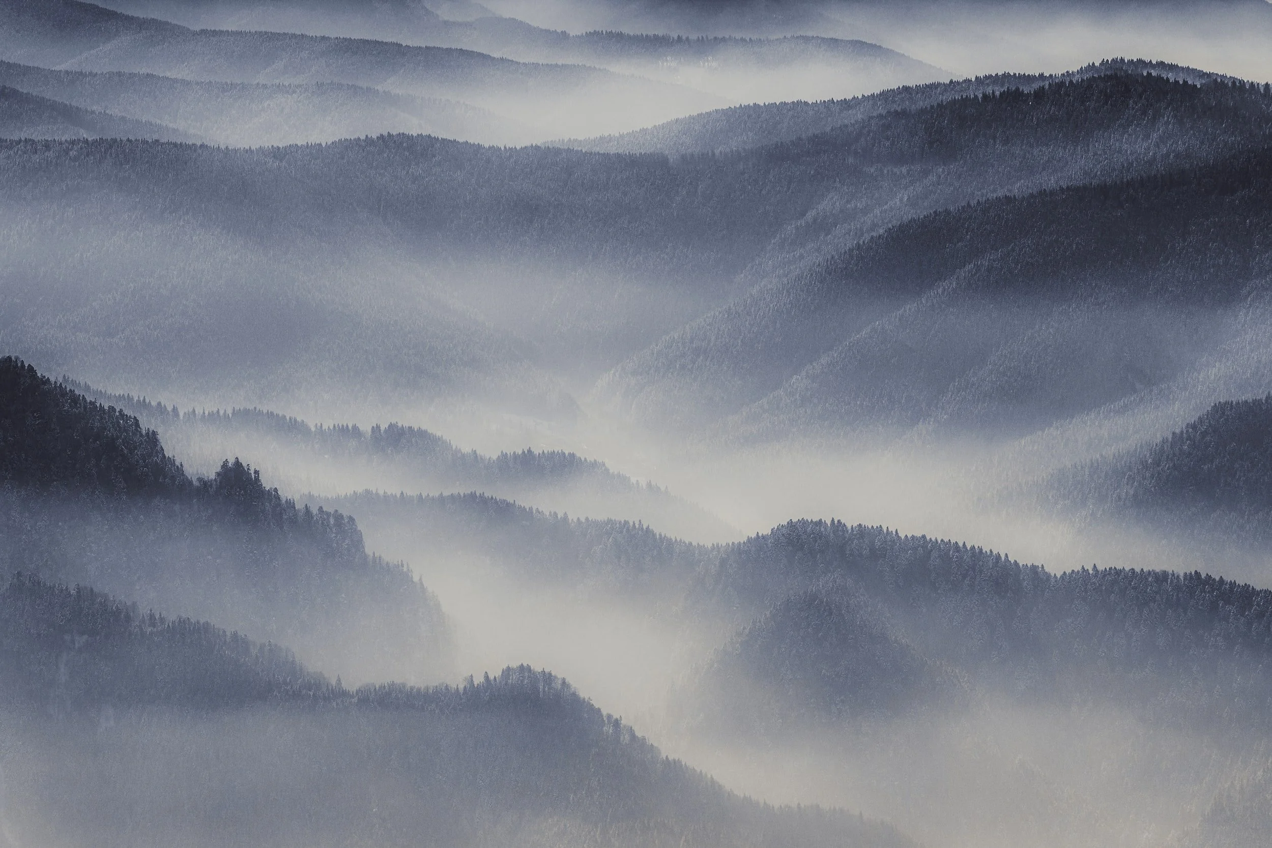 US Health Partners | National Cardiovascular Care Delivery Platform