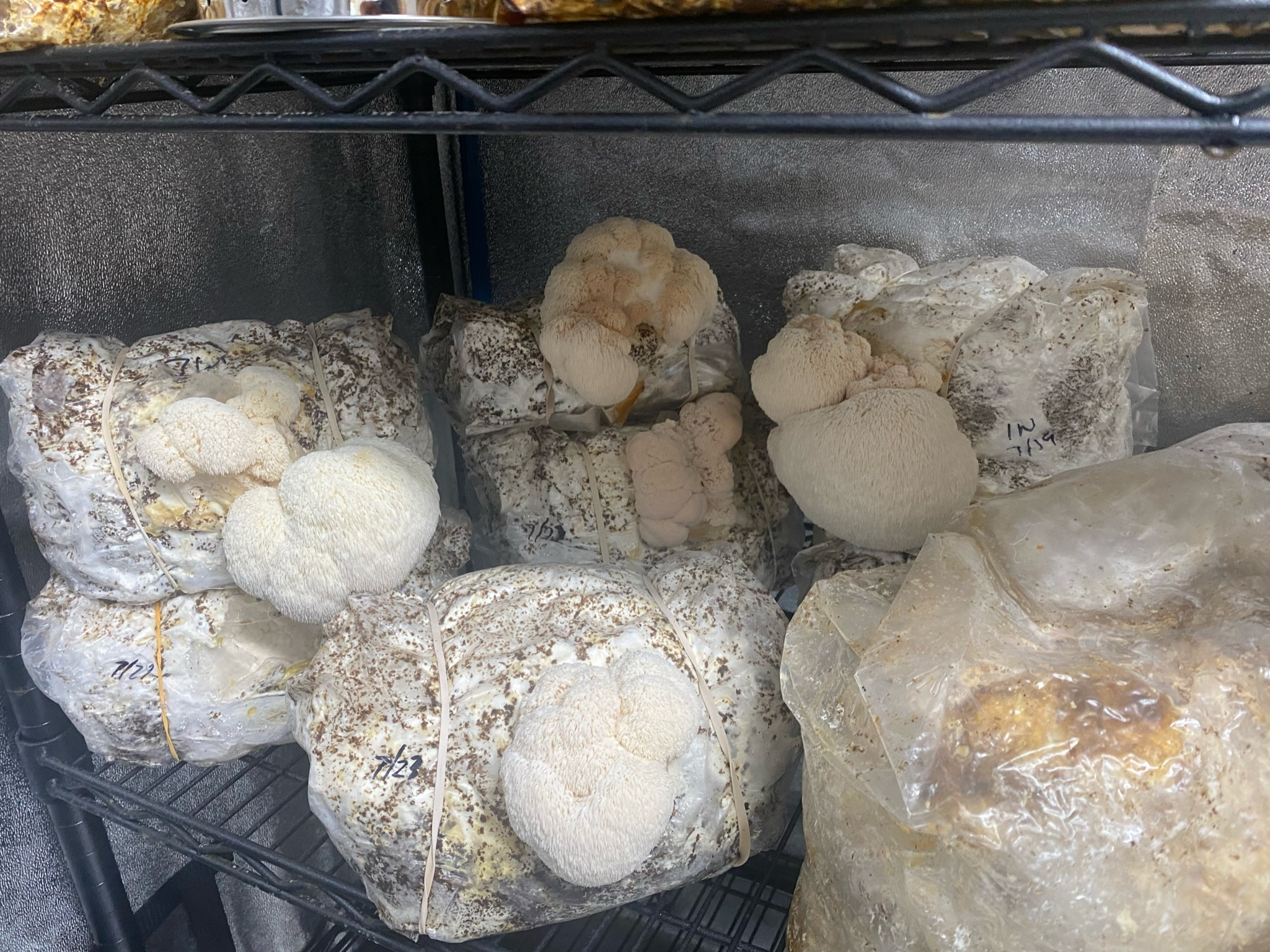 Our Story — High Balsam Farm