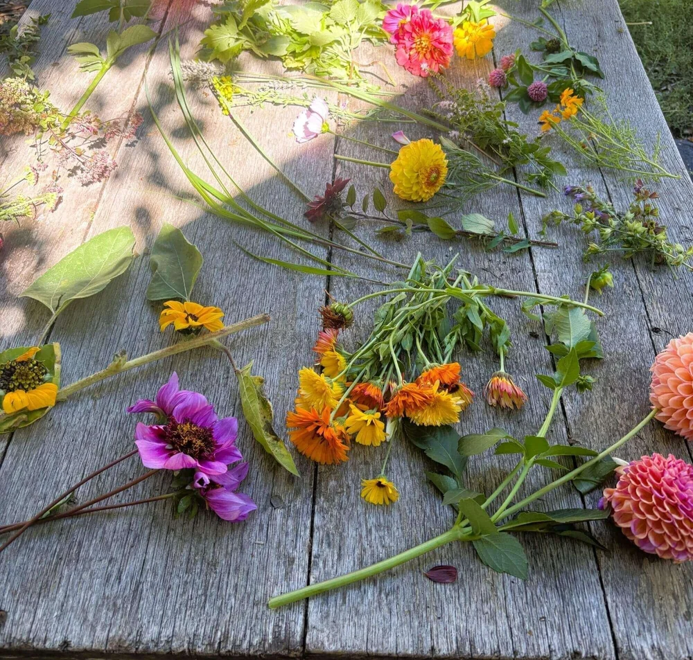 DIY Wedding Flowers in Colorado | High Balsam Farm