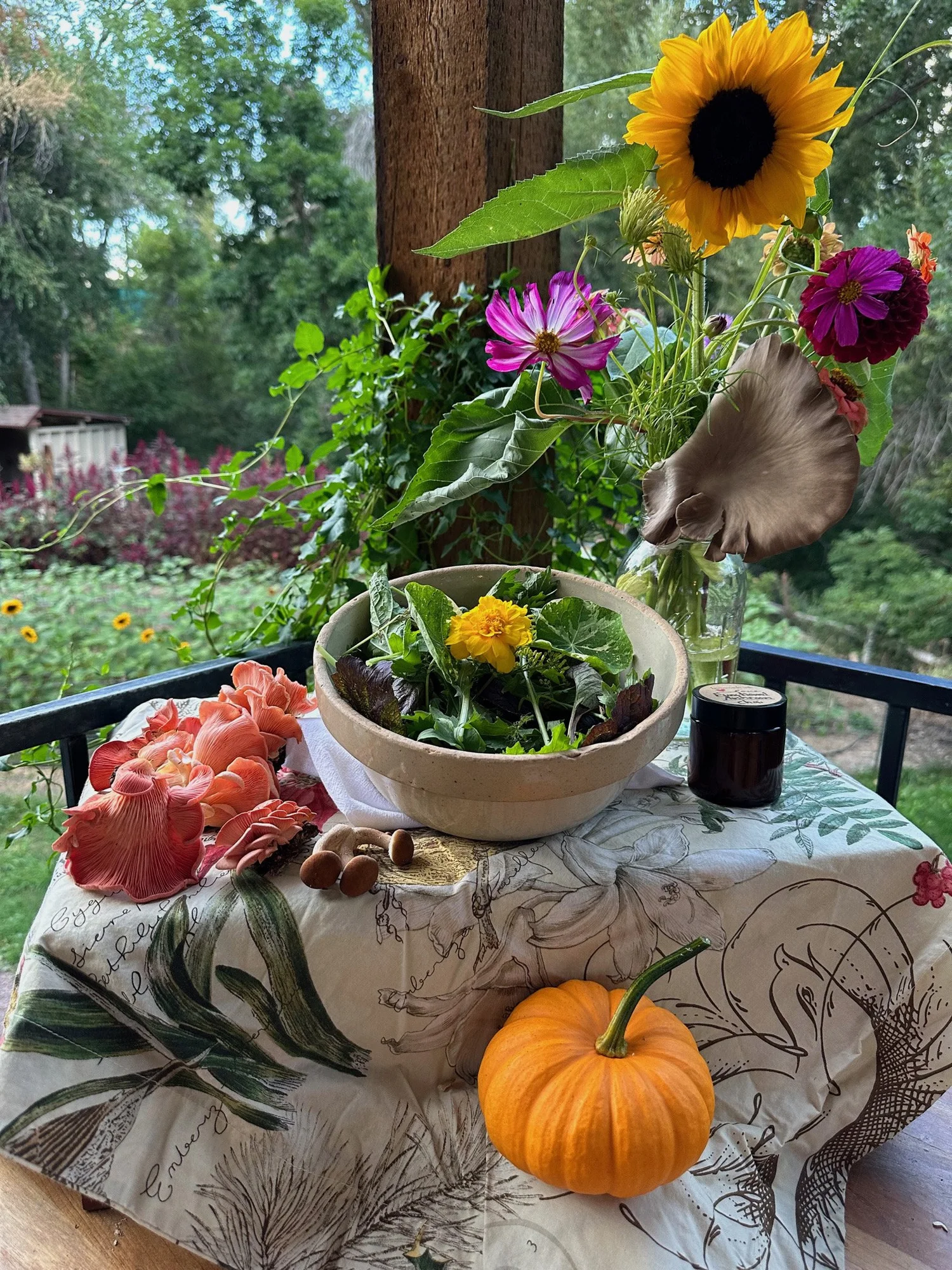 High Balsam Farm