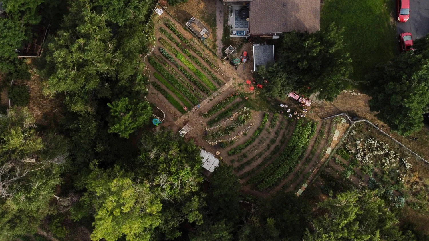 High Balsam Farm