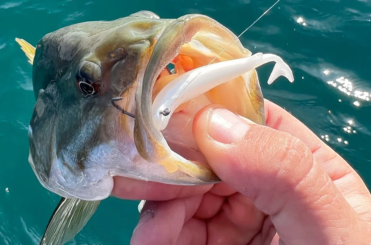 Tactical Fishing Gear