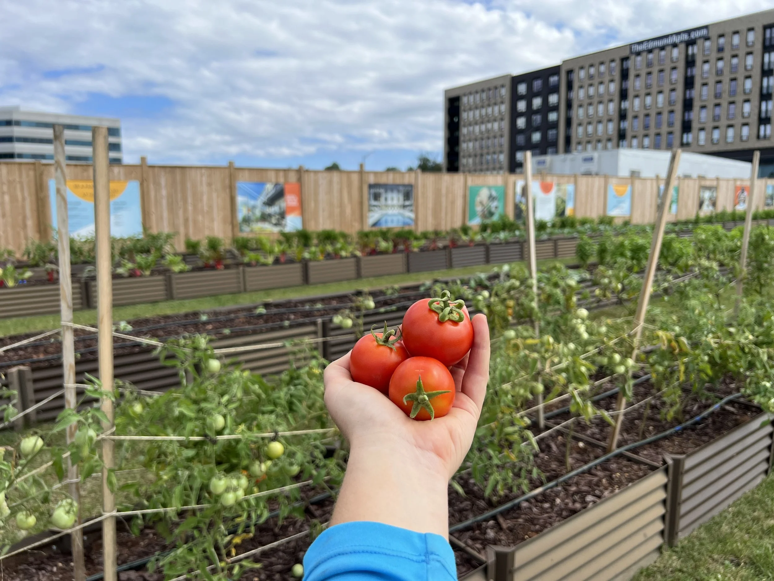 The Farm at Halley Rise — Up Top Acres